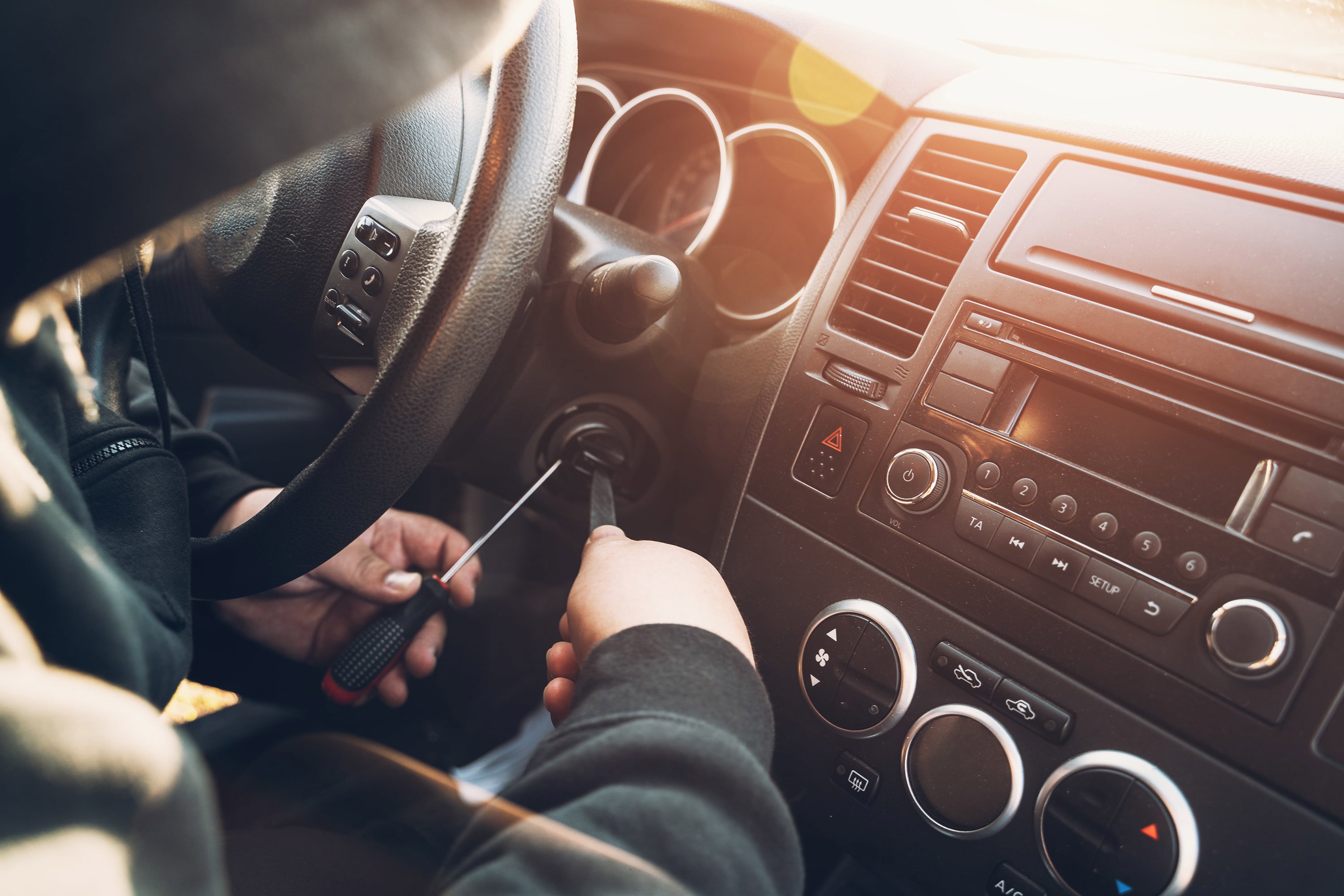 AutoGuard® Etch Vehicle Theft Protection Coverage | AAGI